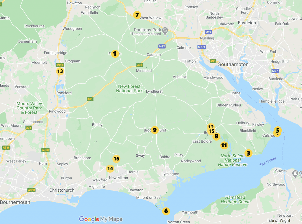 Top 16 New Forest Outdoor Activities | The Gap Decaders