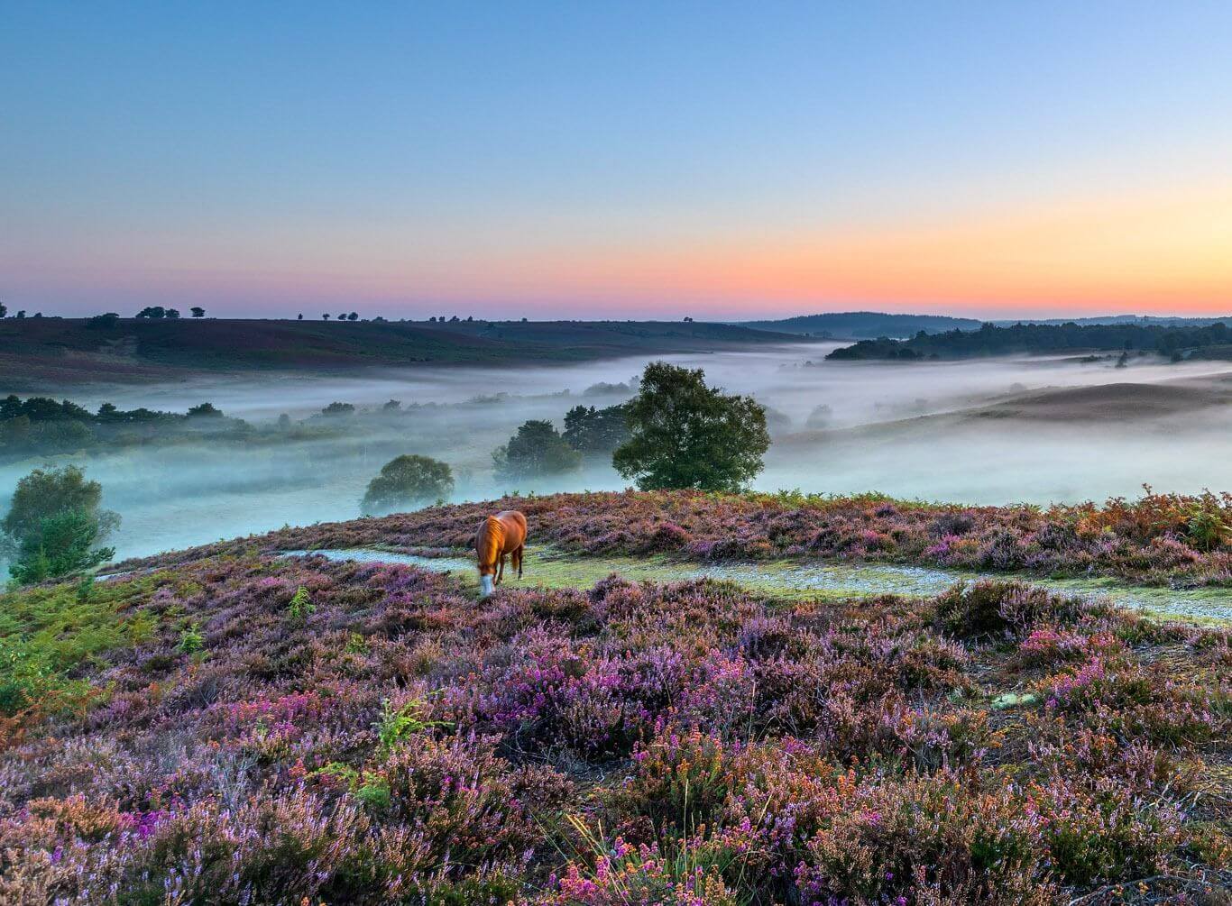 Autumn in Europe: 28 Stunning Destinations for Fall | The Gap Decaders