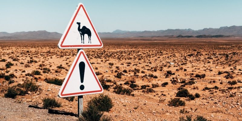 Driving in Morocco - Everything You Need to Know | The Gap Decaders