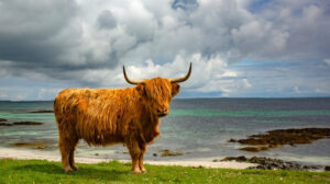 Scotland Motorhome Itinerary | The Gap Decaders
