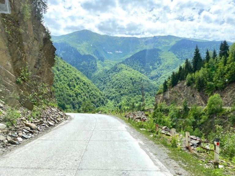 Driving in Georgia - Your Ultimate Guide | The Gap Decaders