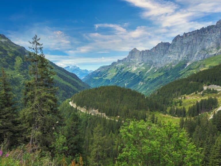 Driving in the Alps: Top Tips & Best Routes | The Gap Decaders