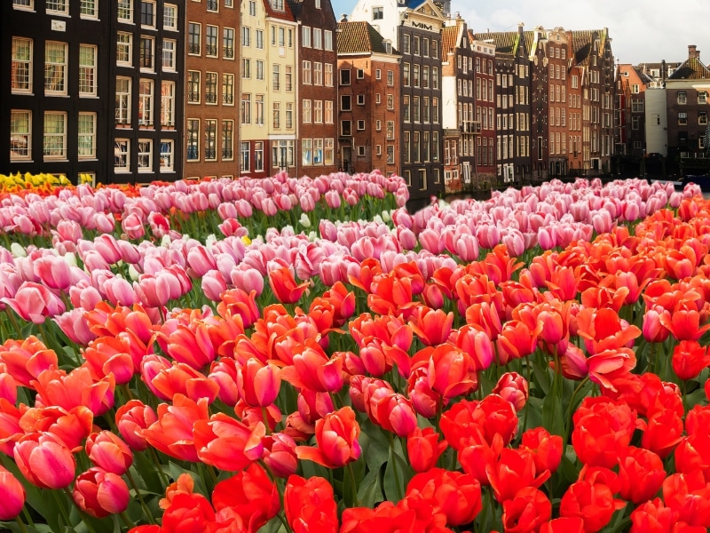 Amsterdam One Day Itinerary + Map, Tips & Guide | The Gap Decaders