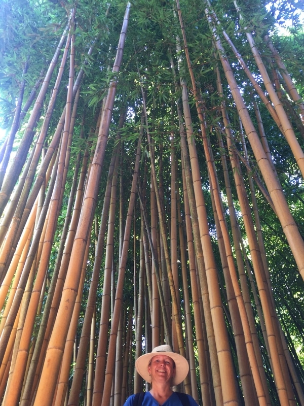 La Bambouseraie: How to Visit the Hidden Gem in Anduze | The Gap Decaders