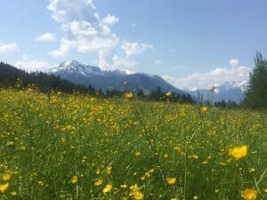 Innsbruck In Summer: Everything You Need To Know! | The Gap Decaders