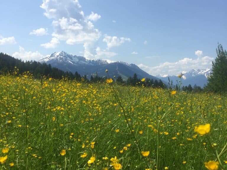 Innsbruck In Summer: Everything You Need To Know! | The Gap Decaders