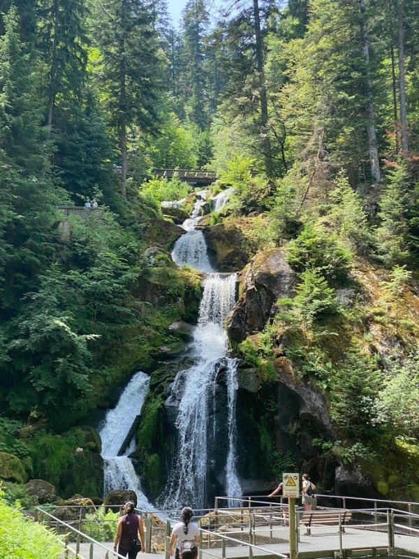 The Best of the Black Forest: Highlights & Hidden Gems | The Gap Decaders